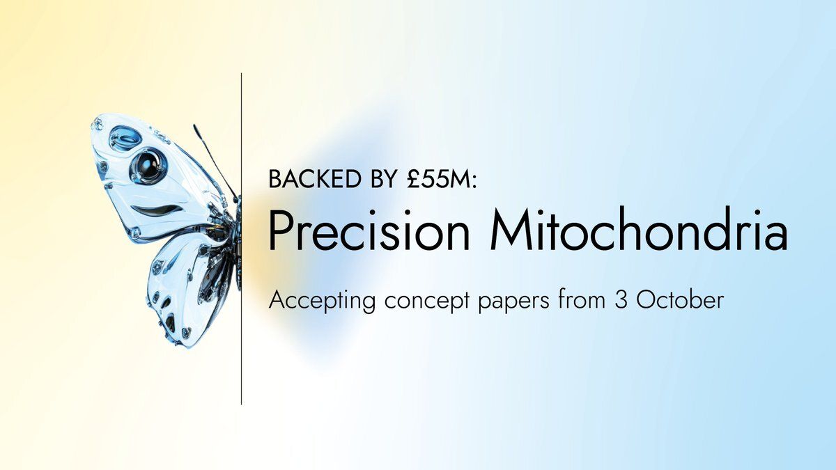 No Limits: Connecting talent with opportunity