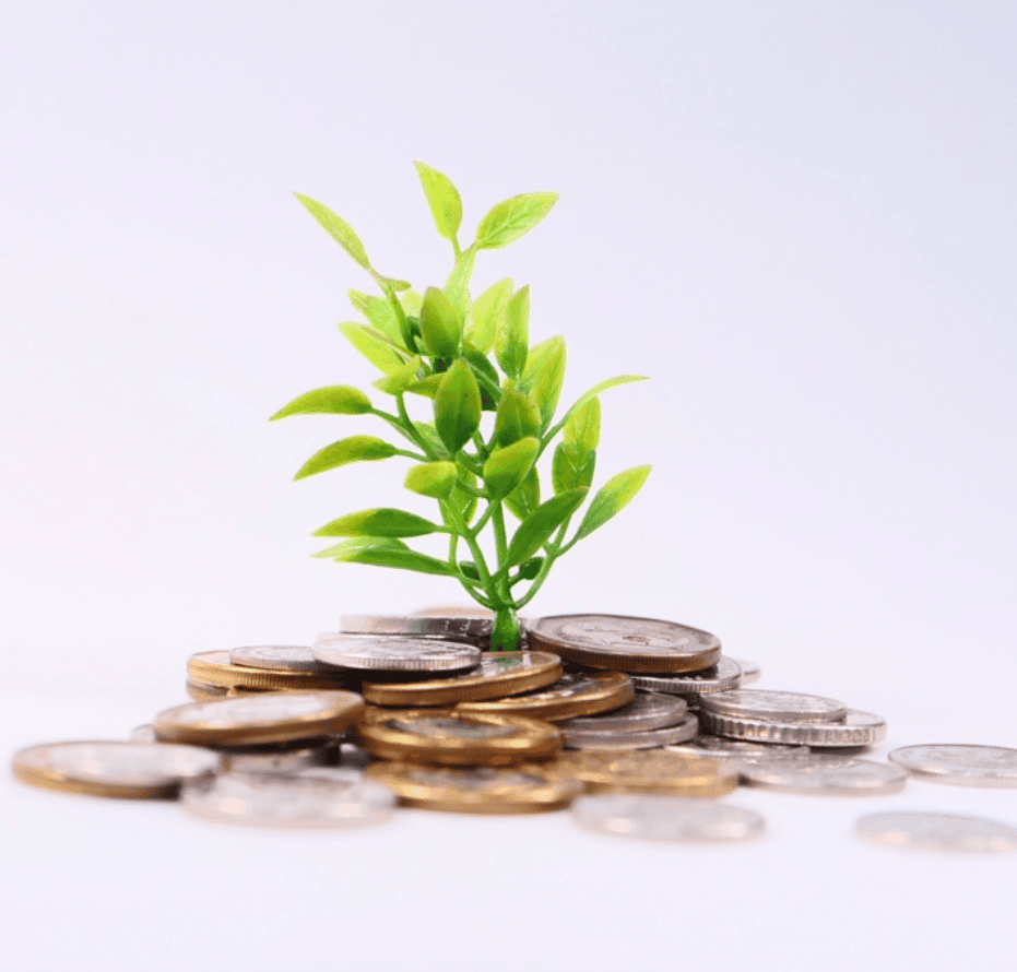 No Limits: Connecting talent with opportunity